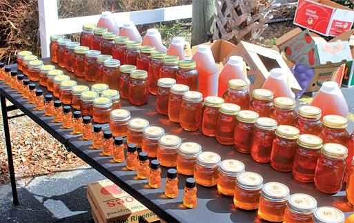 Shell Factory flea market reopens - North Fort Myers Neighbor